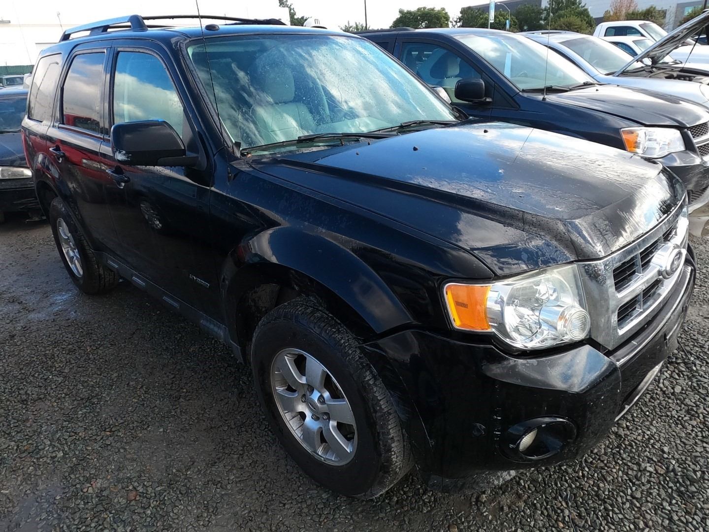 FORD ESCAPE 2010 T-DONATION
