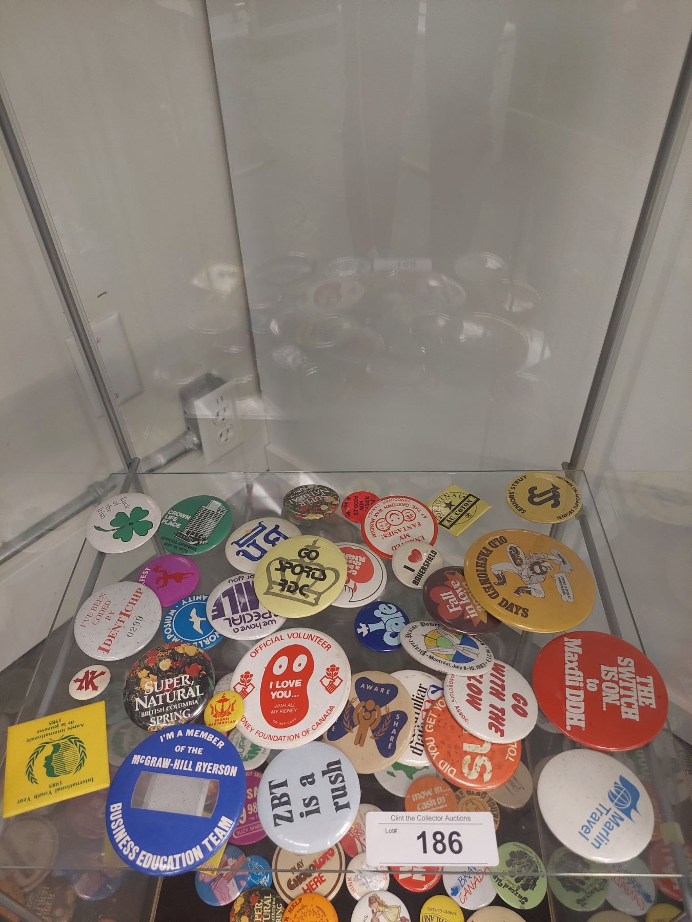 Large Button Collection