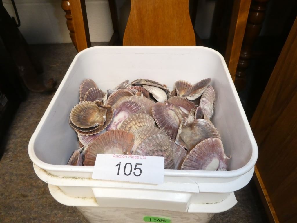 bucket of shells