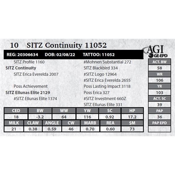 SITZ Continuity 11052