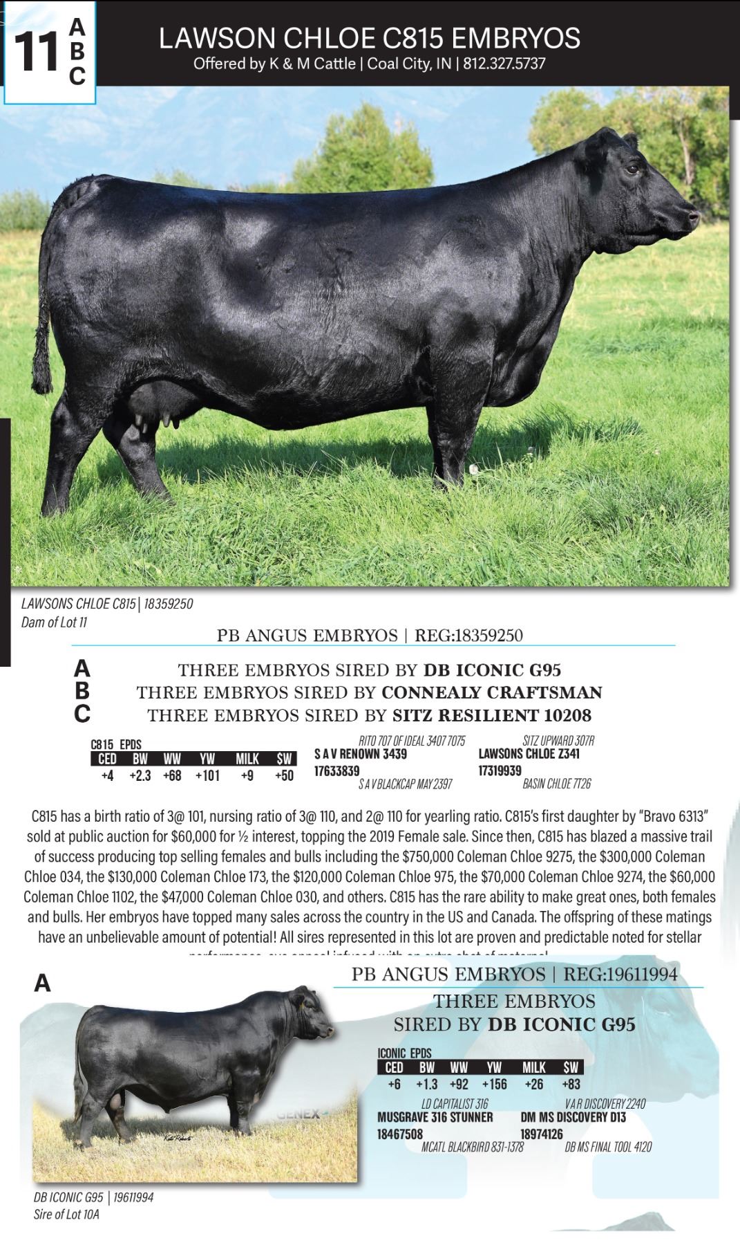 THREE EMBRYOS SIRED BY DB ICONIC G95