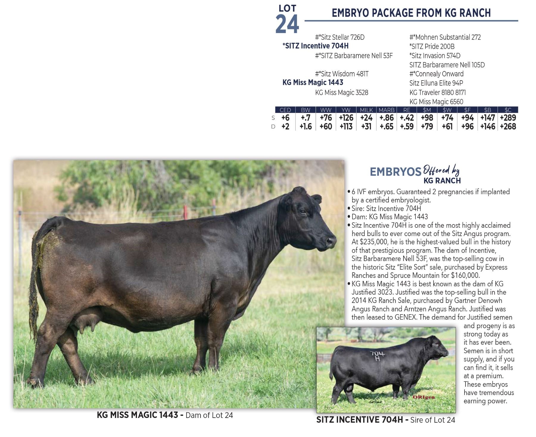 EMBRYO PACKAGE FROM KG RANCH