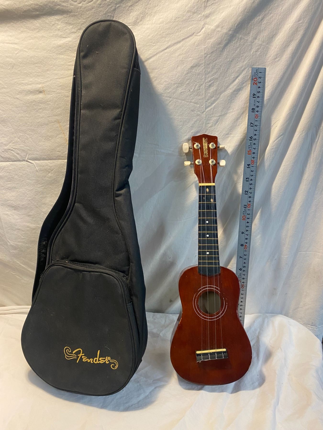 Ukulele with a case