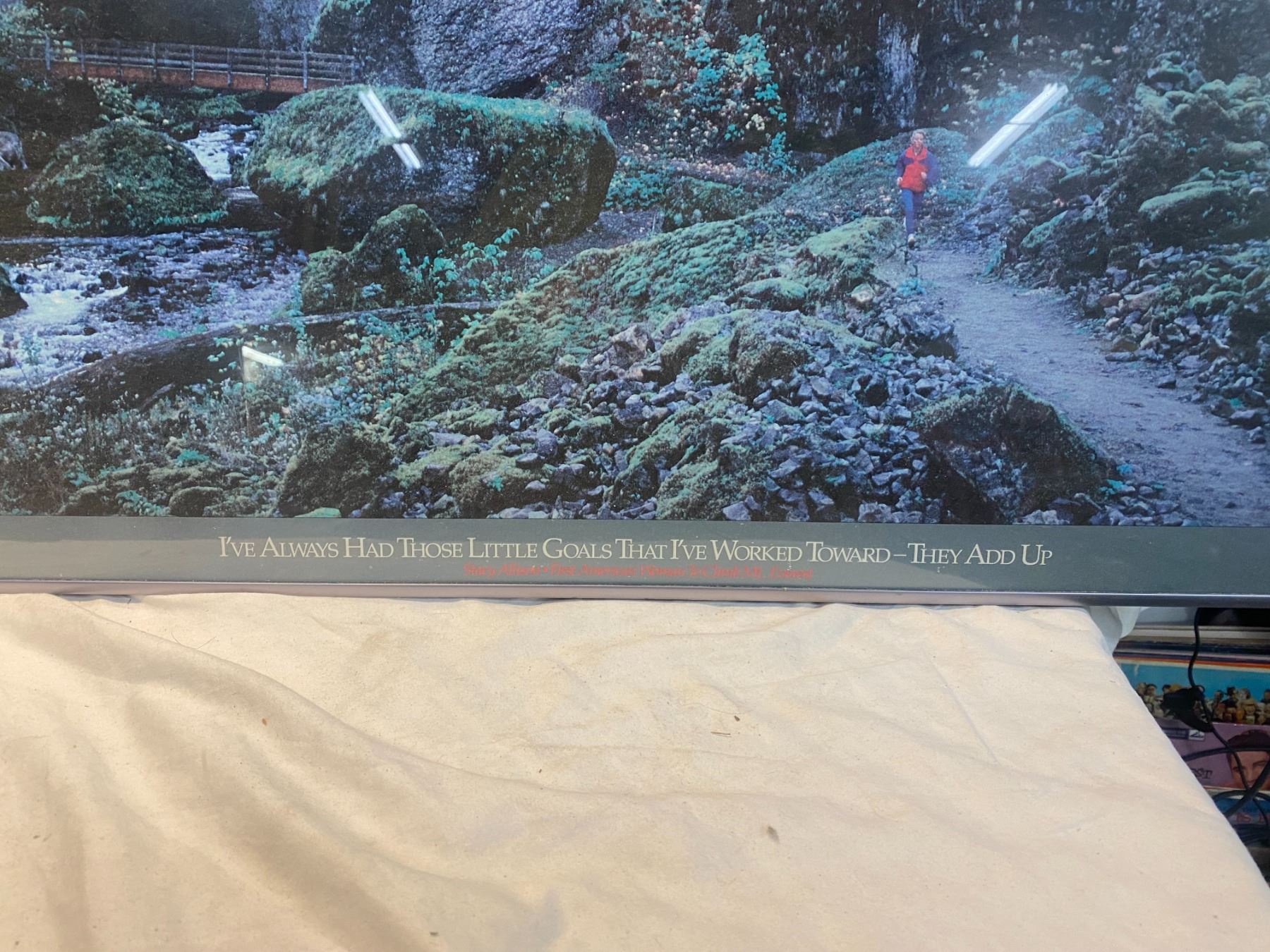 Stacy Allison First American Woman to climb Mt. Everest wall hanging
