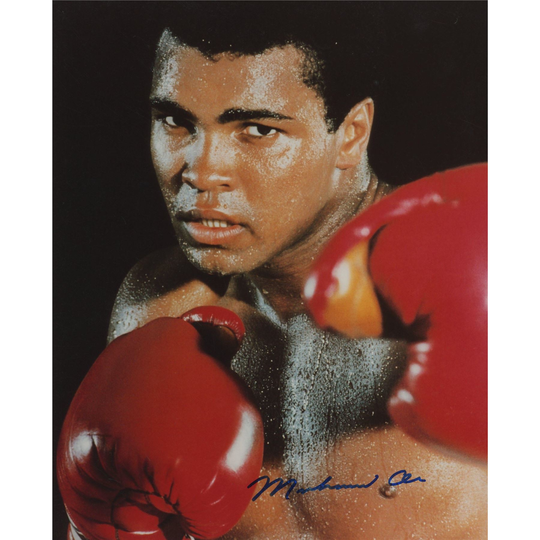 Muhammad Ali signed photo. GFA Authenticated
