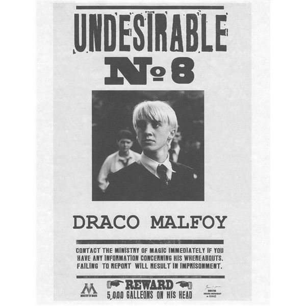 Harry Potter Undesirable Flyer Prop Print
