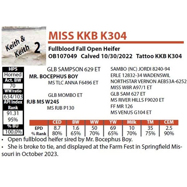 MISS KKB K304