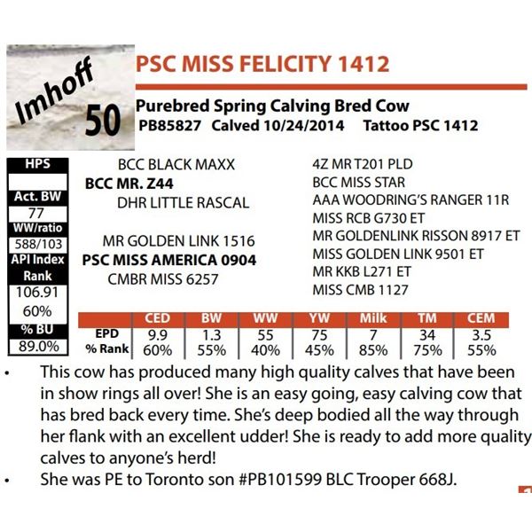 **OUT OF SALE**PSC MISS FELICITY 1412