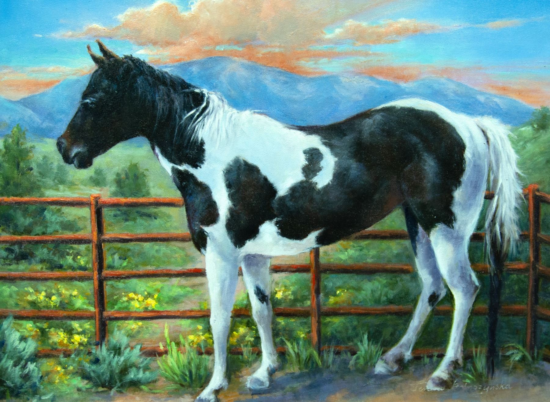 Bagzi by Teresa Adaszynska