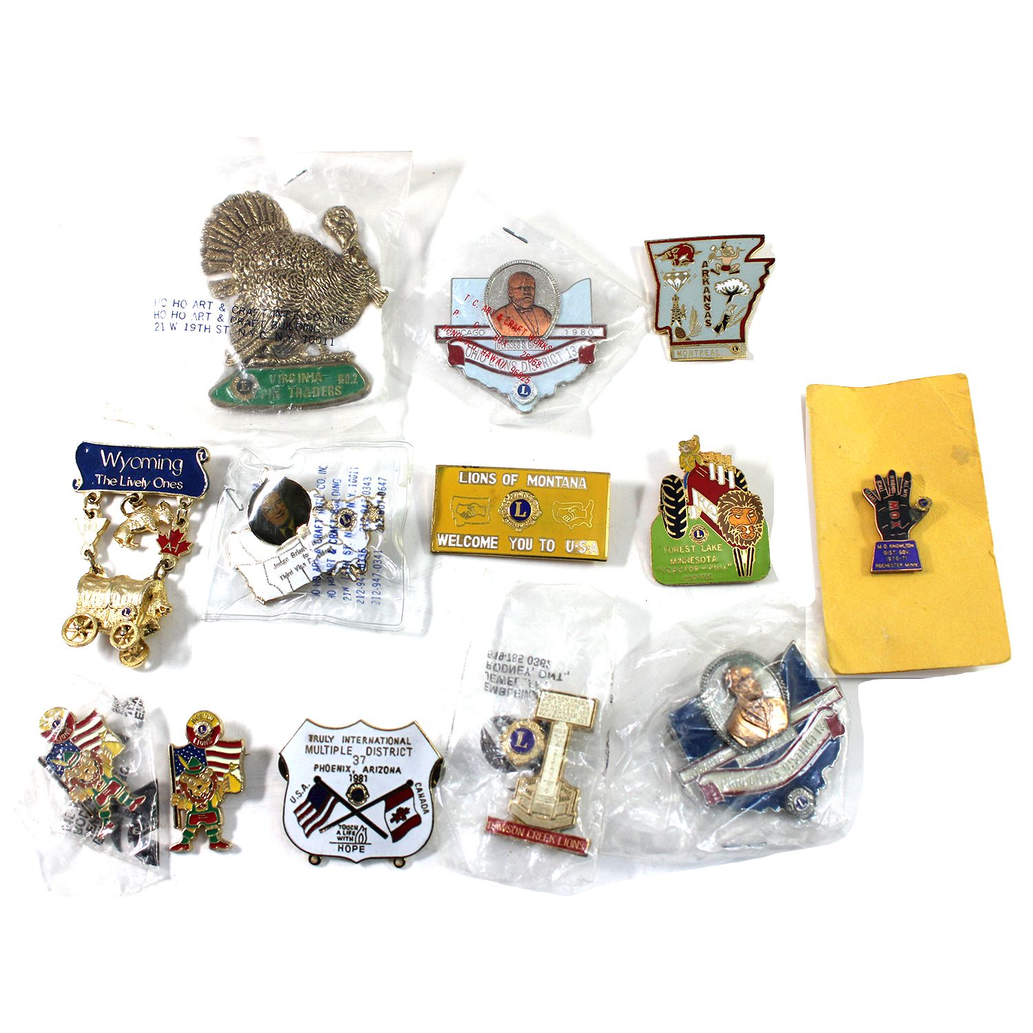 Vintage Lions Club USA Assorted Enameled Pins. 13pcs.