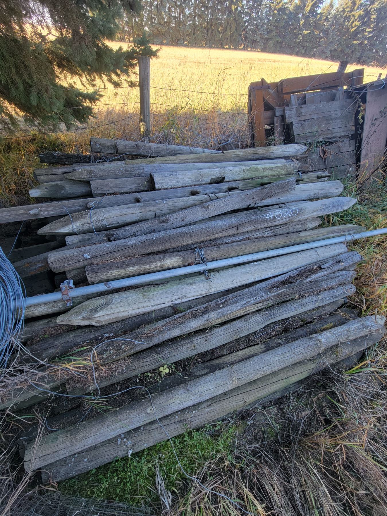 Pile of posts & wire