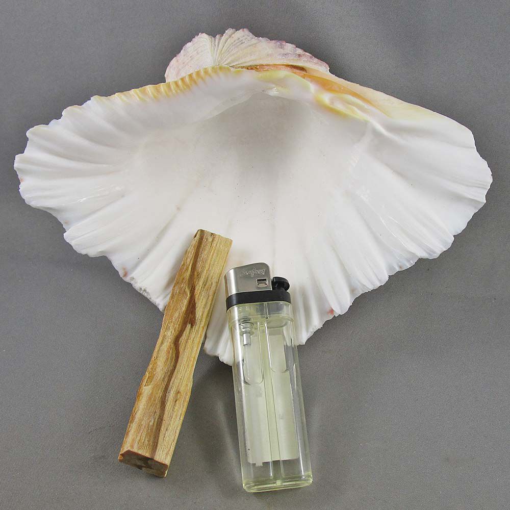 Large Bear Paw Shell Smoke Clearing Bowl with Palo Santo Wood Stick ...