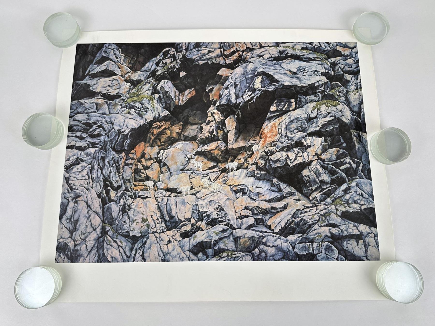 Signed and Numbered Print