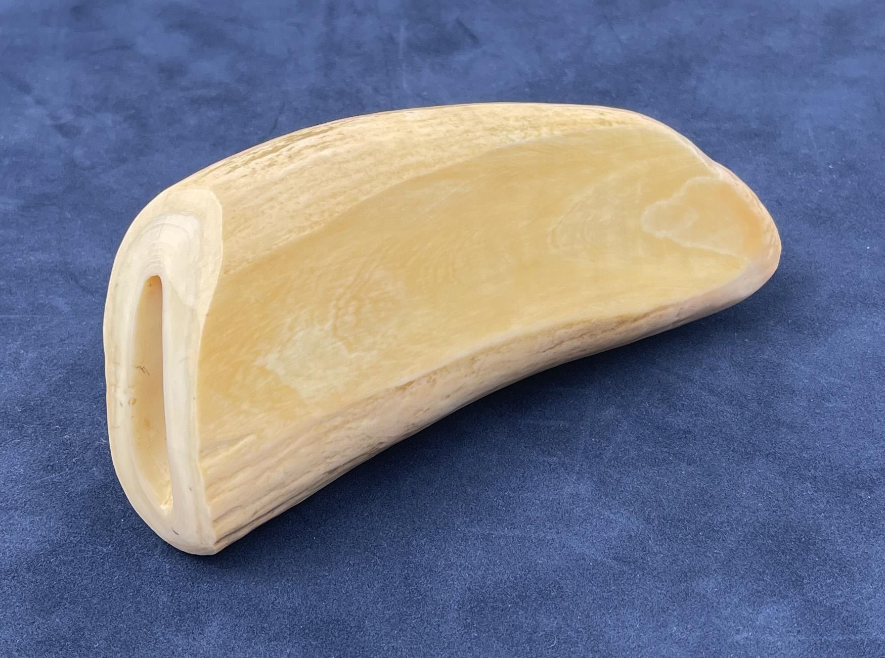 Antique Eskimo Inuit Scrimshaw Whale Tooth Lighter