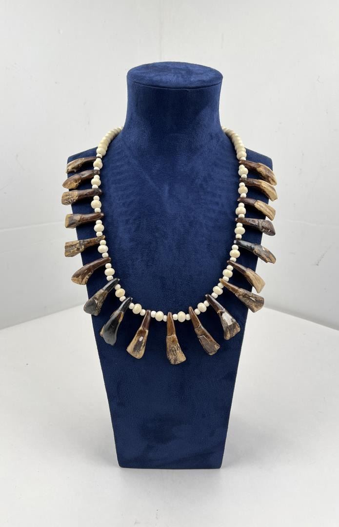 Plains Indian Buffalo Tooth Necklace