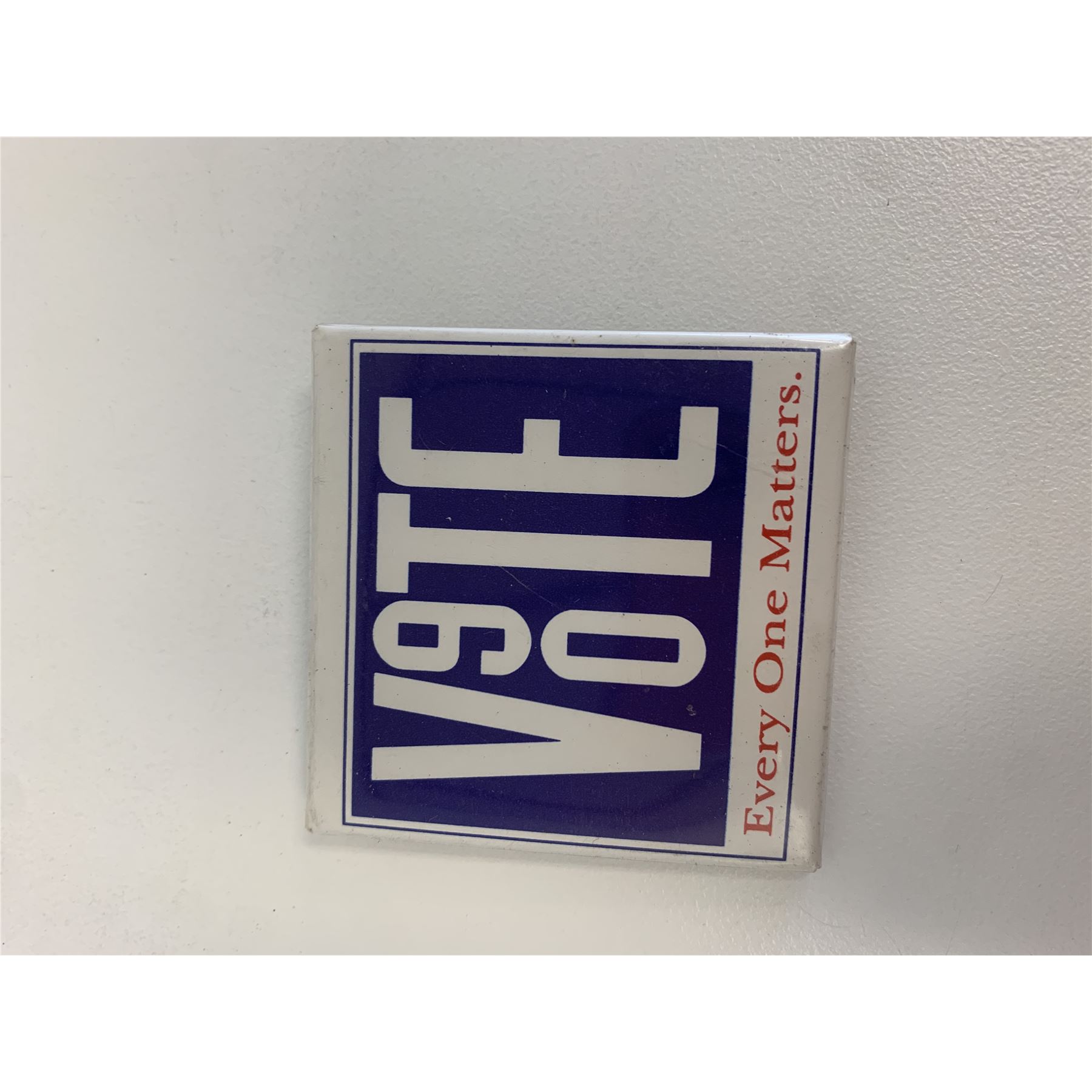 Vote Everyone Matters pin