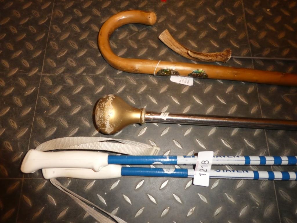 2 walking canes, 2 ski poles