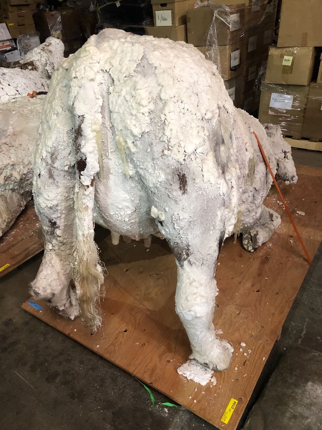 Lifesize frozen prop cow