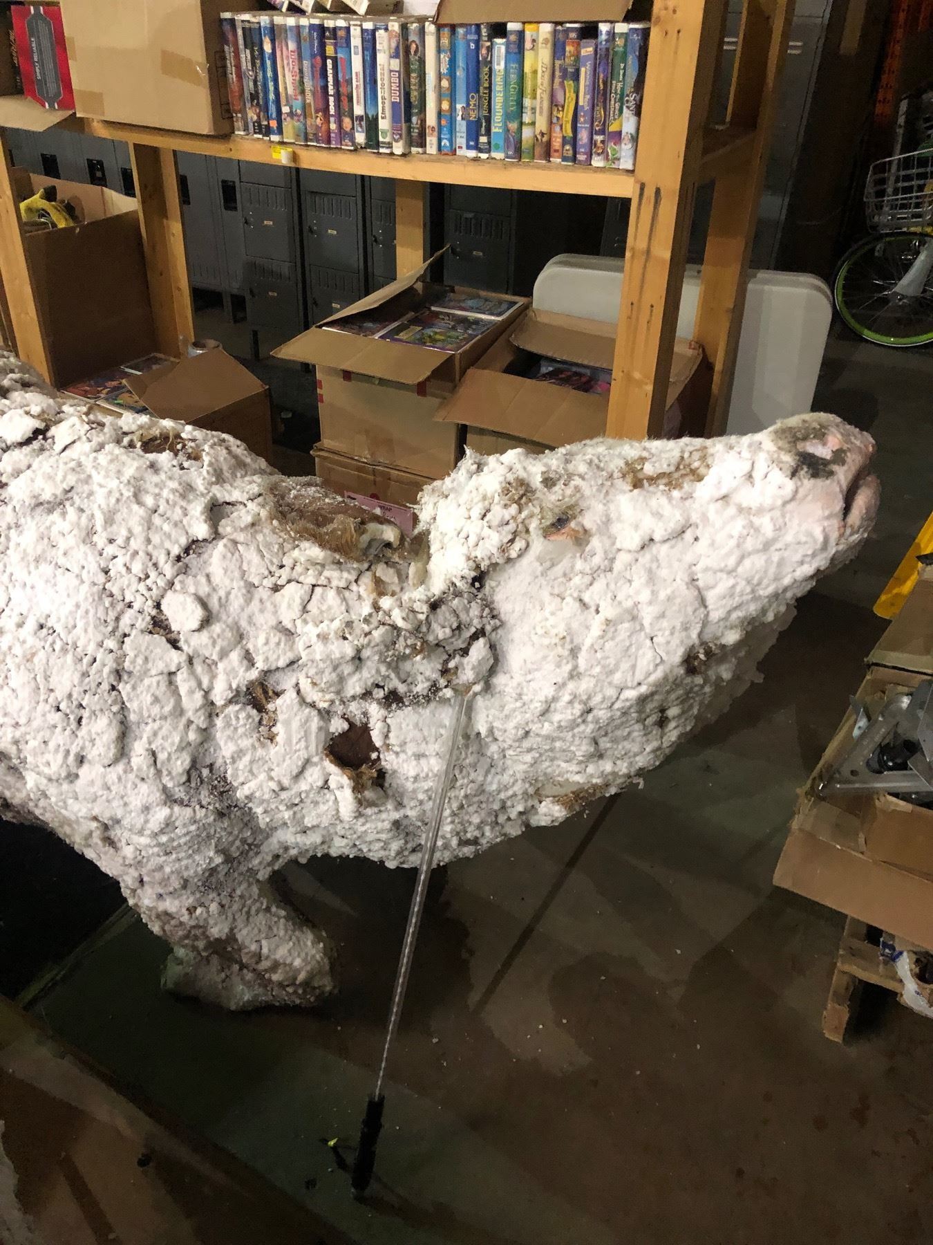 Lifesize frozen prop cow