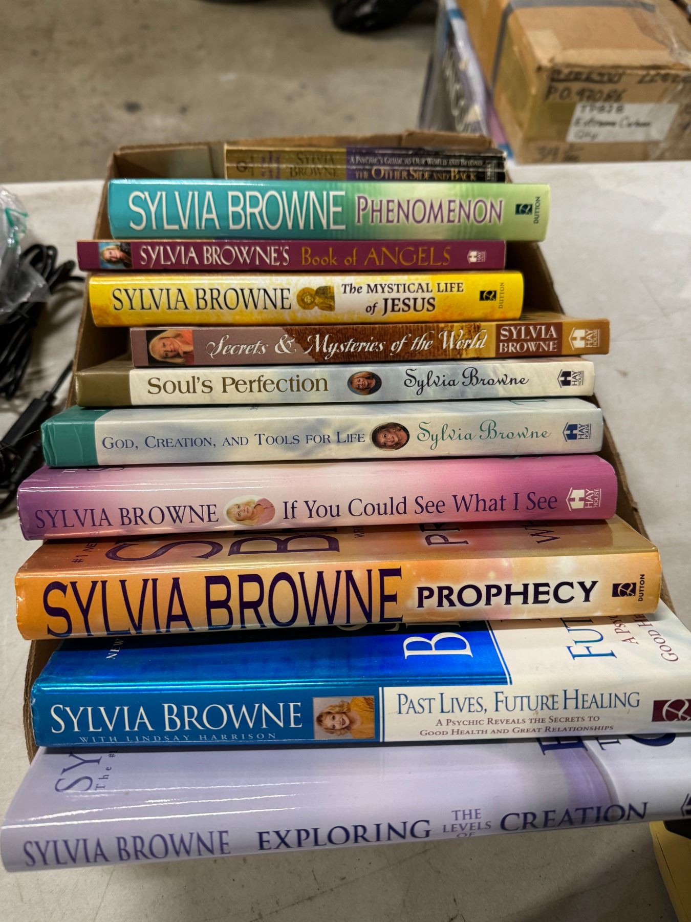 Sylvia Brown books