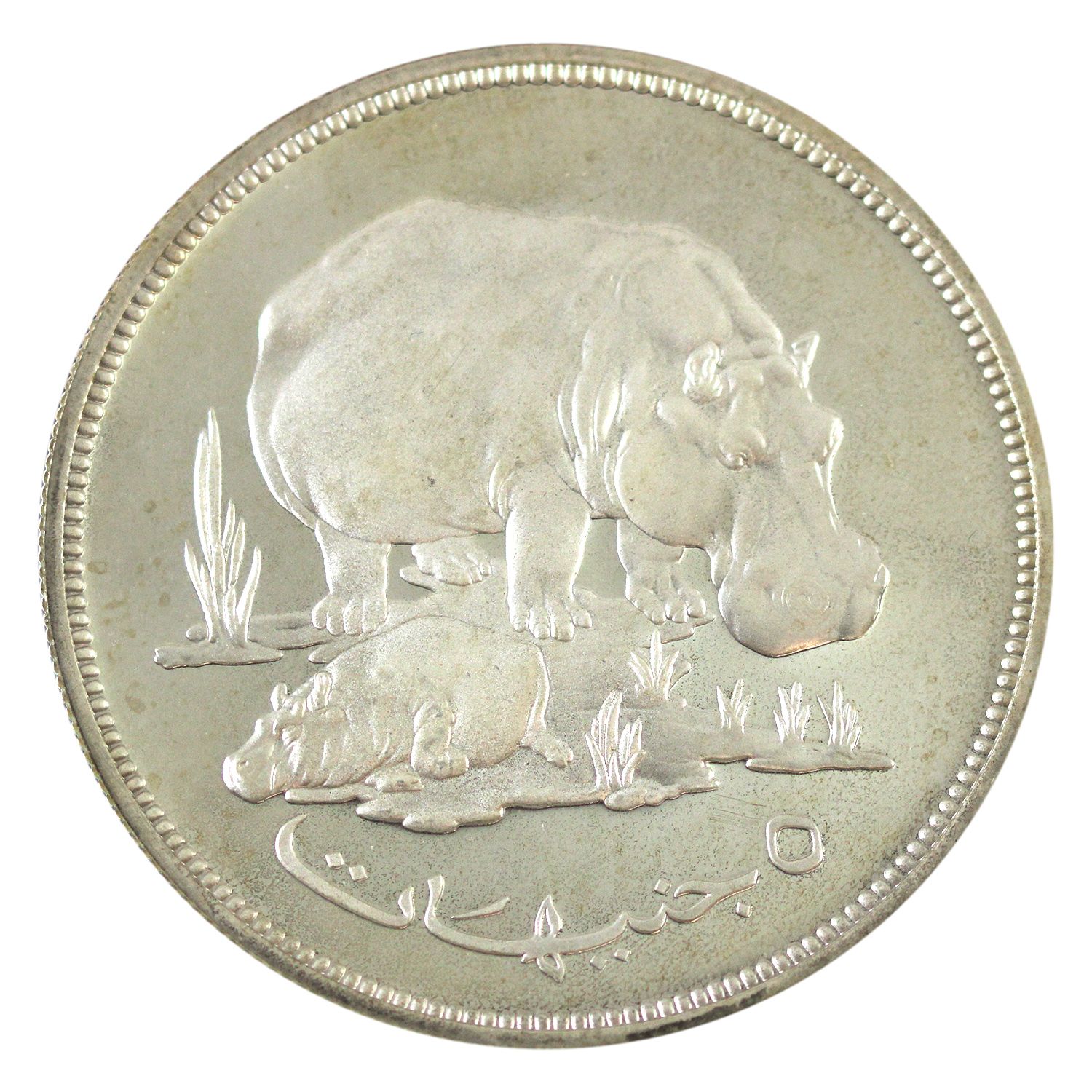 Sudan 1976 5 Pounds Proof Sterling Silver Hippopotamus Conservation ...