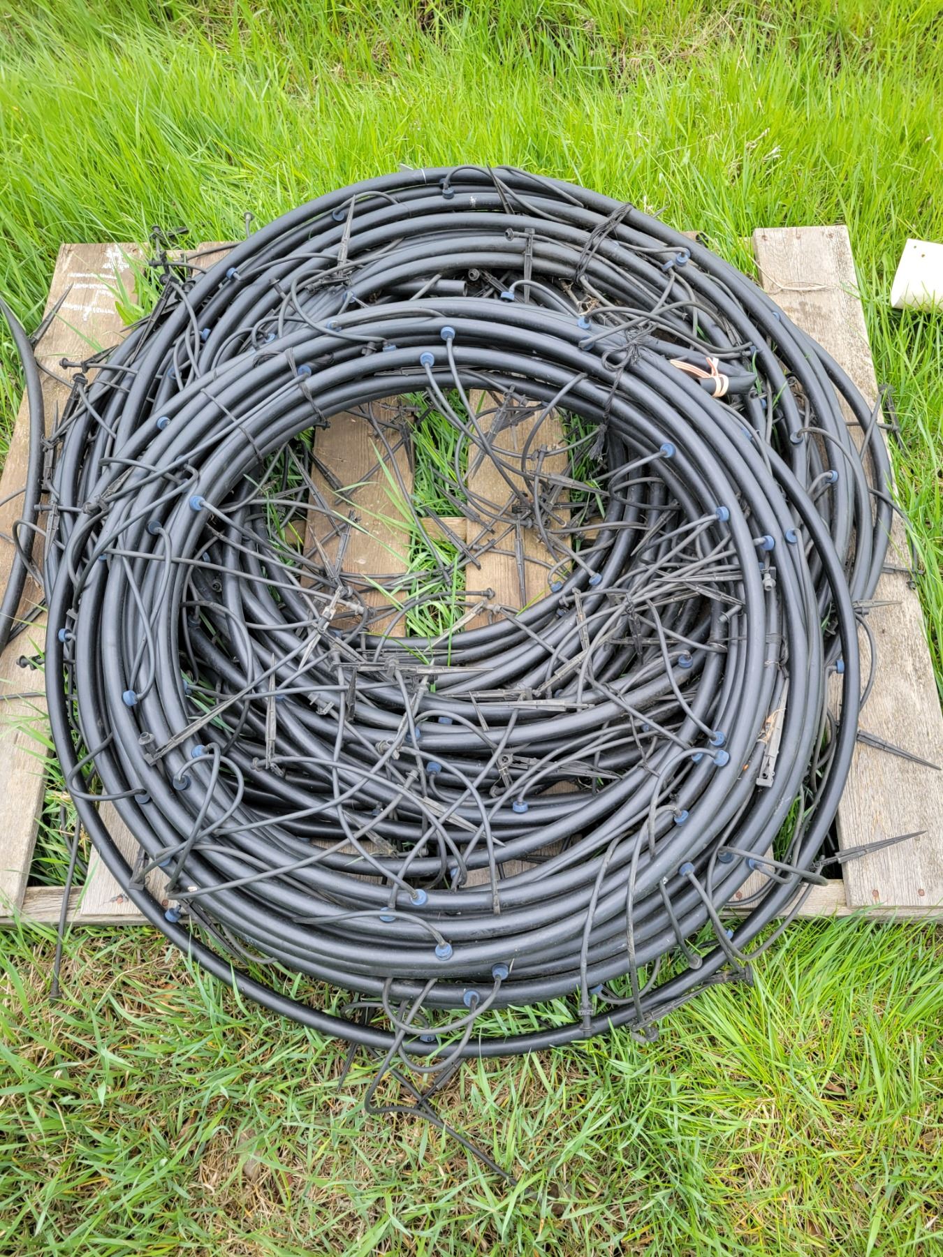 Greenhouse hanging basket drip lines