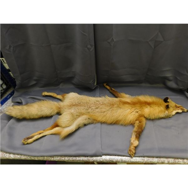 Red Fox Pelt