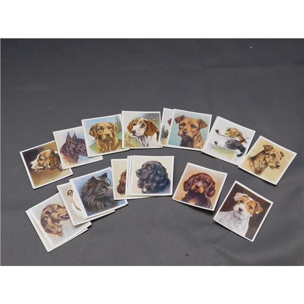 1939 Godfrey Phillips "Our Dogs" 30 Card Set