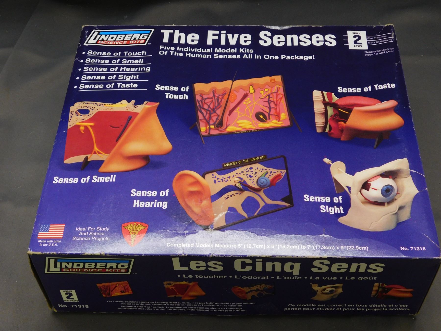 Lindberg Science Kits "The Five Senses" Model Kit in Box COMPLETE
