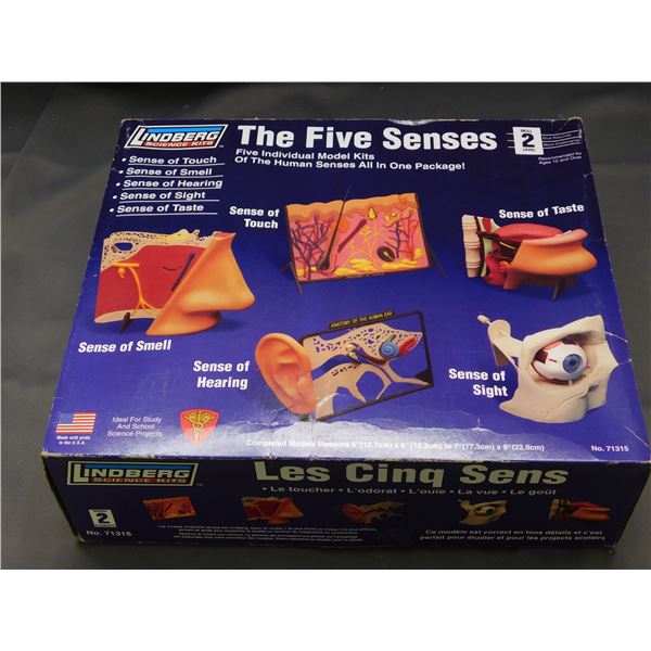 Lindberg Science Kits "The Five Senses" Model Kit in Box COMPLETE