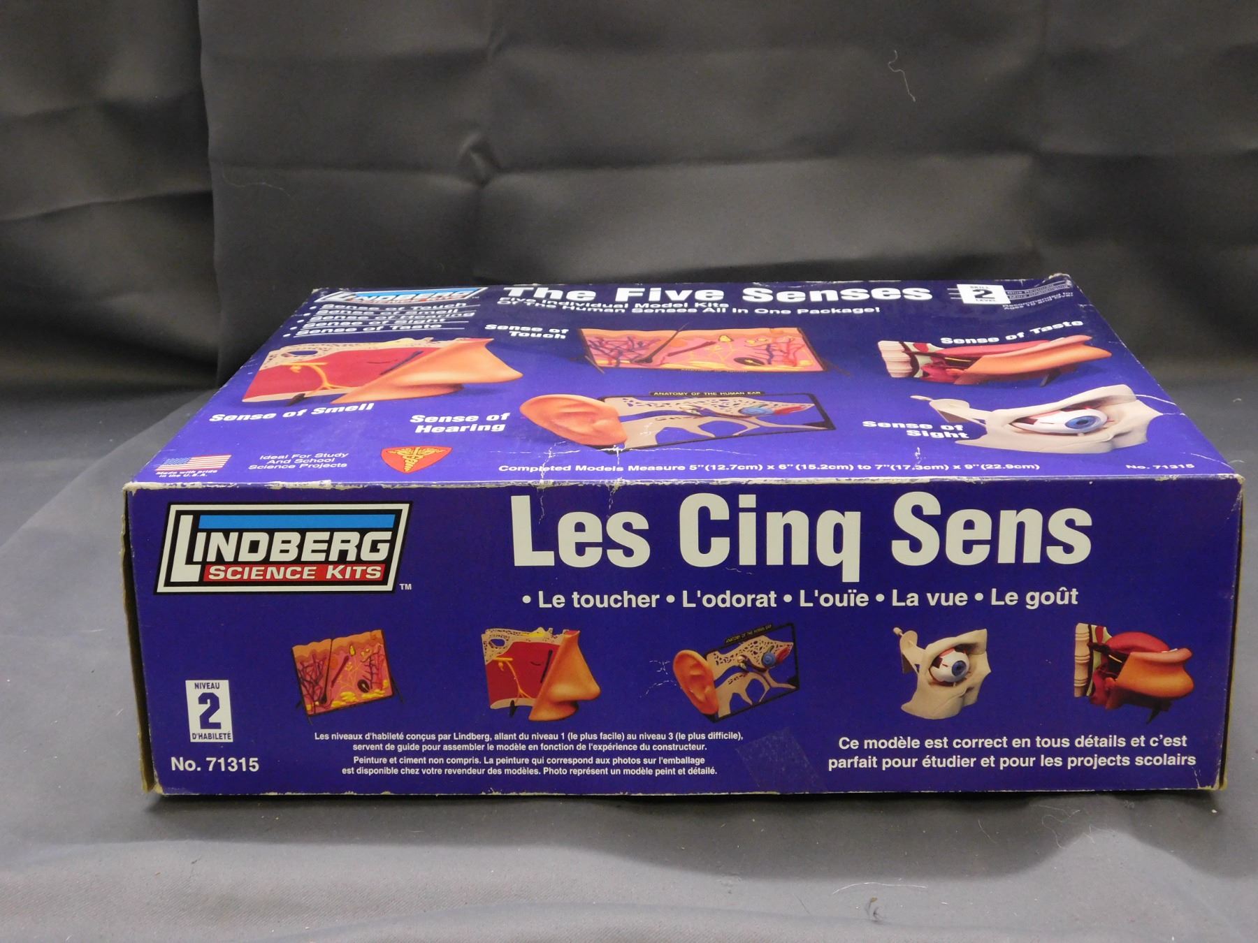 Lindberg Science Kits "The Five Senses" Model Kit in Box COMPLETE