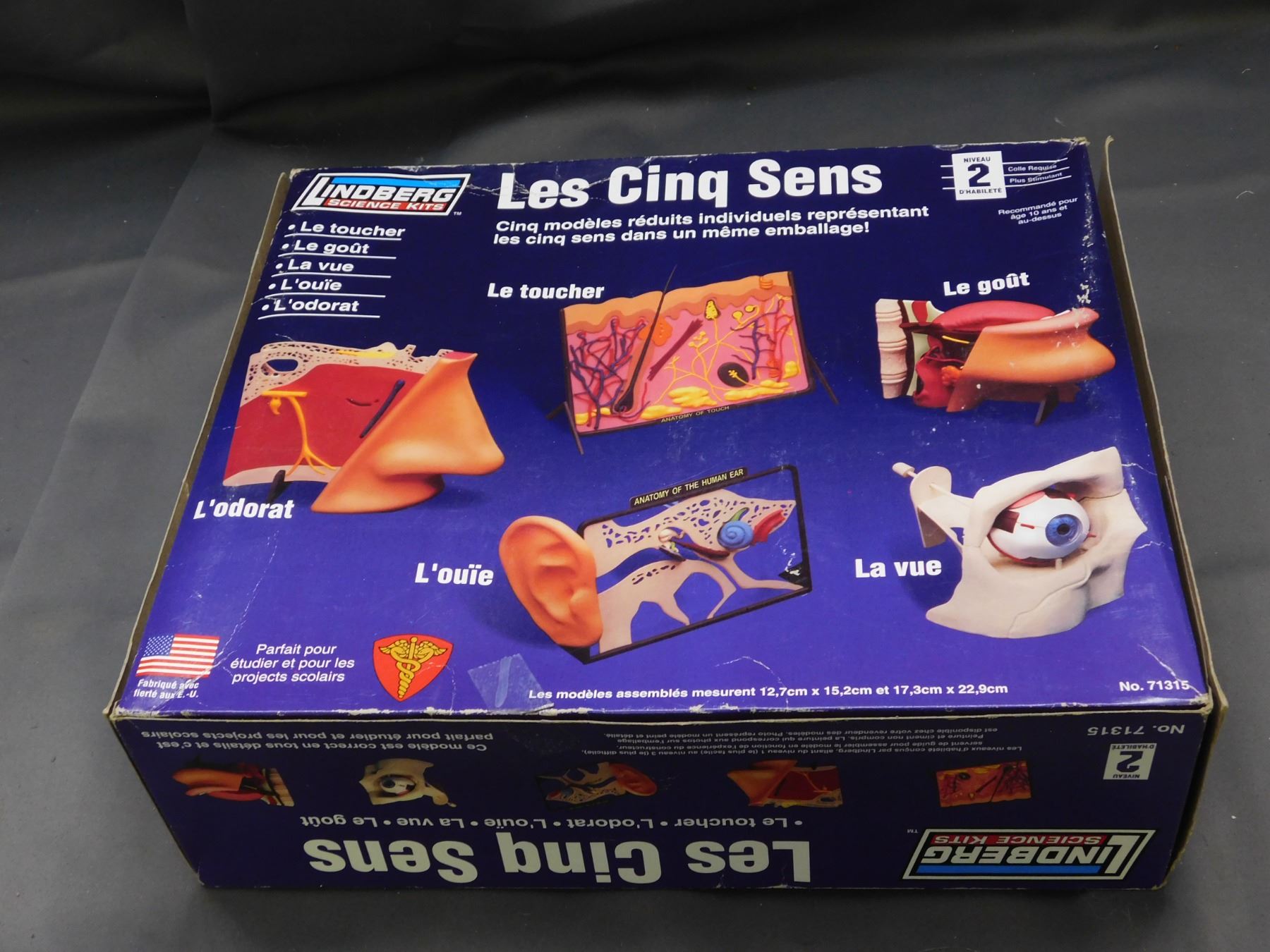 Lindberg Science Kits "The Five Senses" Model Kit in Box COMPLETE
