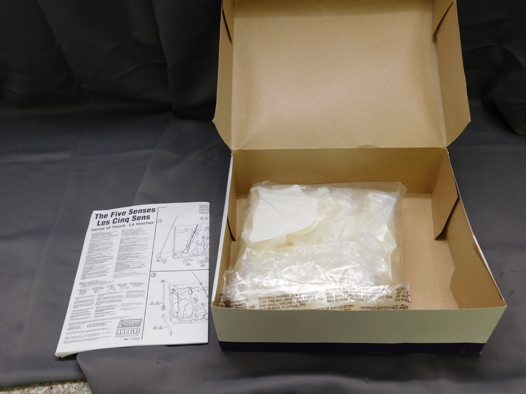 Lindberg Science Kits "The Five Senses" Model Kit in Box COMPLETE