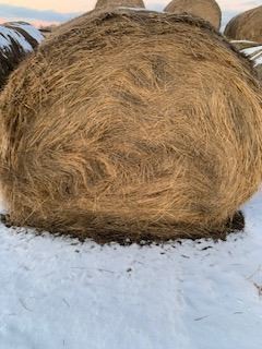 HAY - SOFT CORE ROUND BALES (X9)