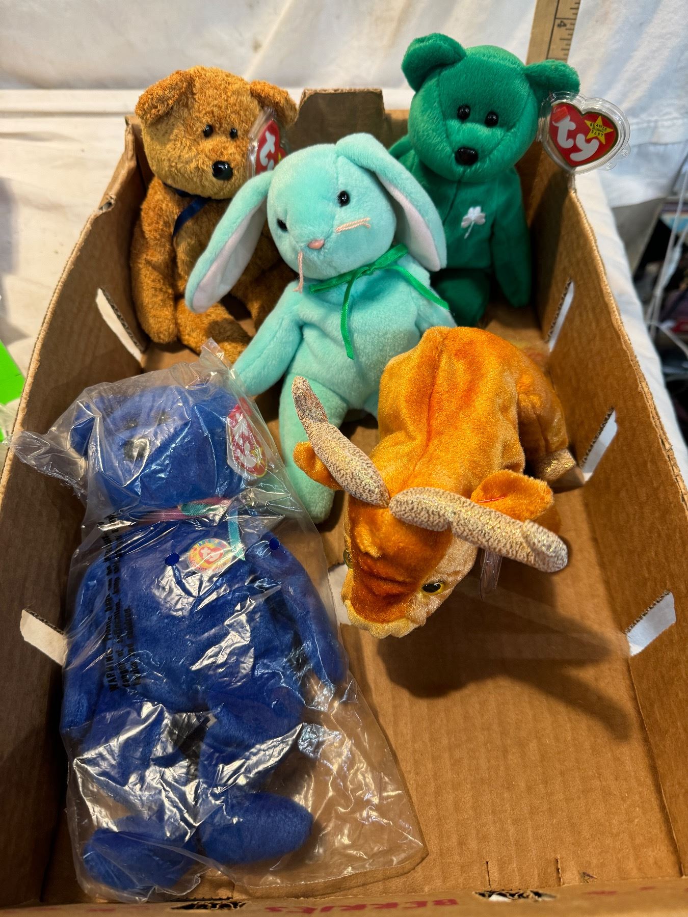 Ty beanie bears
