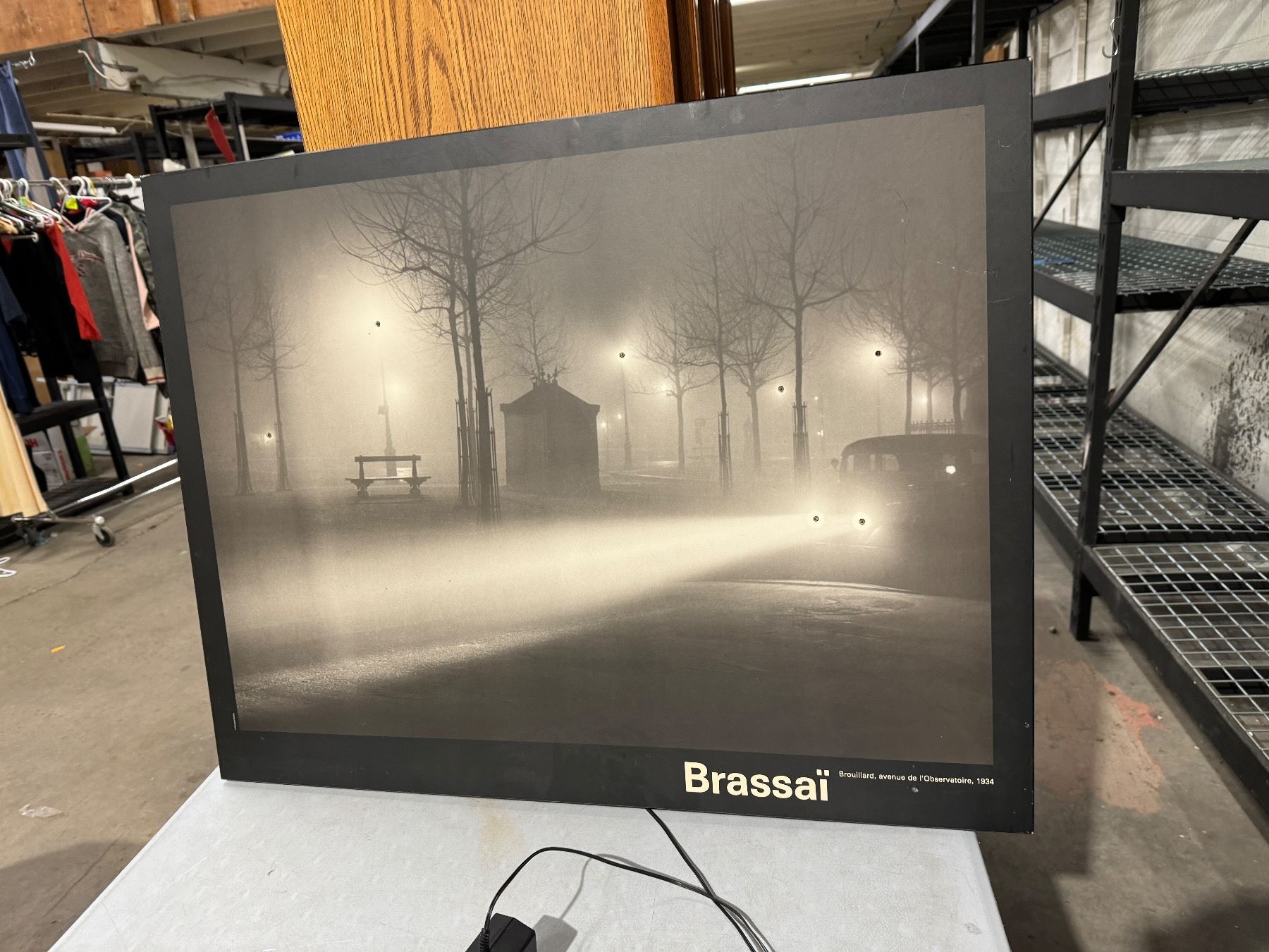 Brassaii light up picture