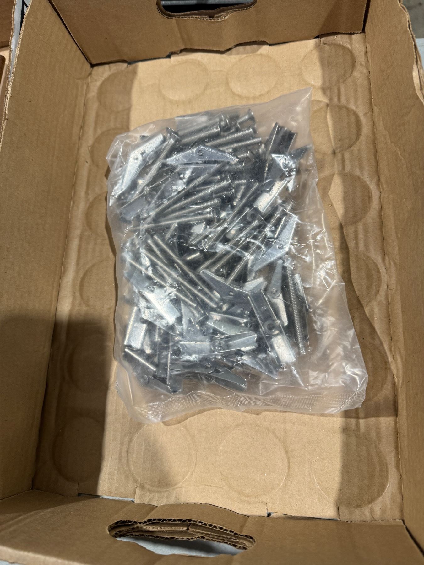 Stainless steel toggle bolts