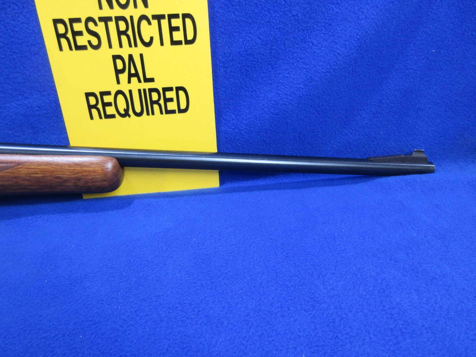 Non-Restricted - Squires Bingham Model 1500 in 22 WMR