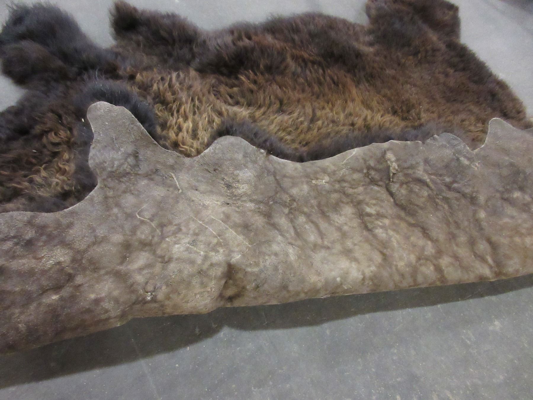 Winter Prime Tanned Buffalo Hide- 84" X 70"- Good Condition