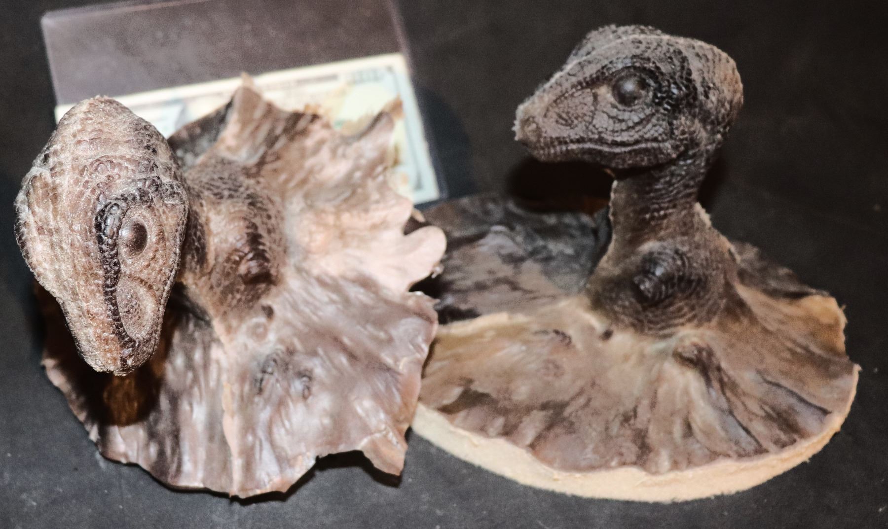 JURASSIC PARK THE RIDE VELOCIRAPTOR HATCHLINGS LOT OF 2