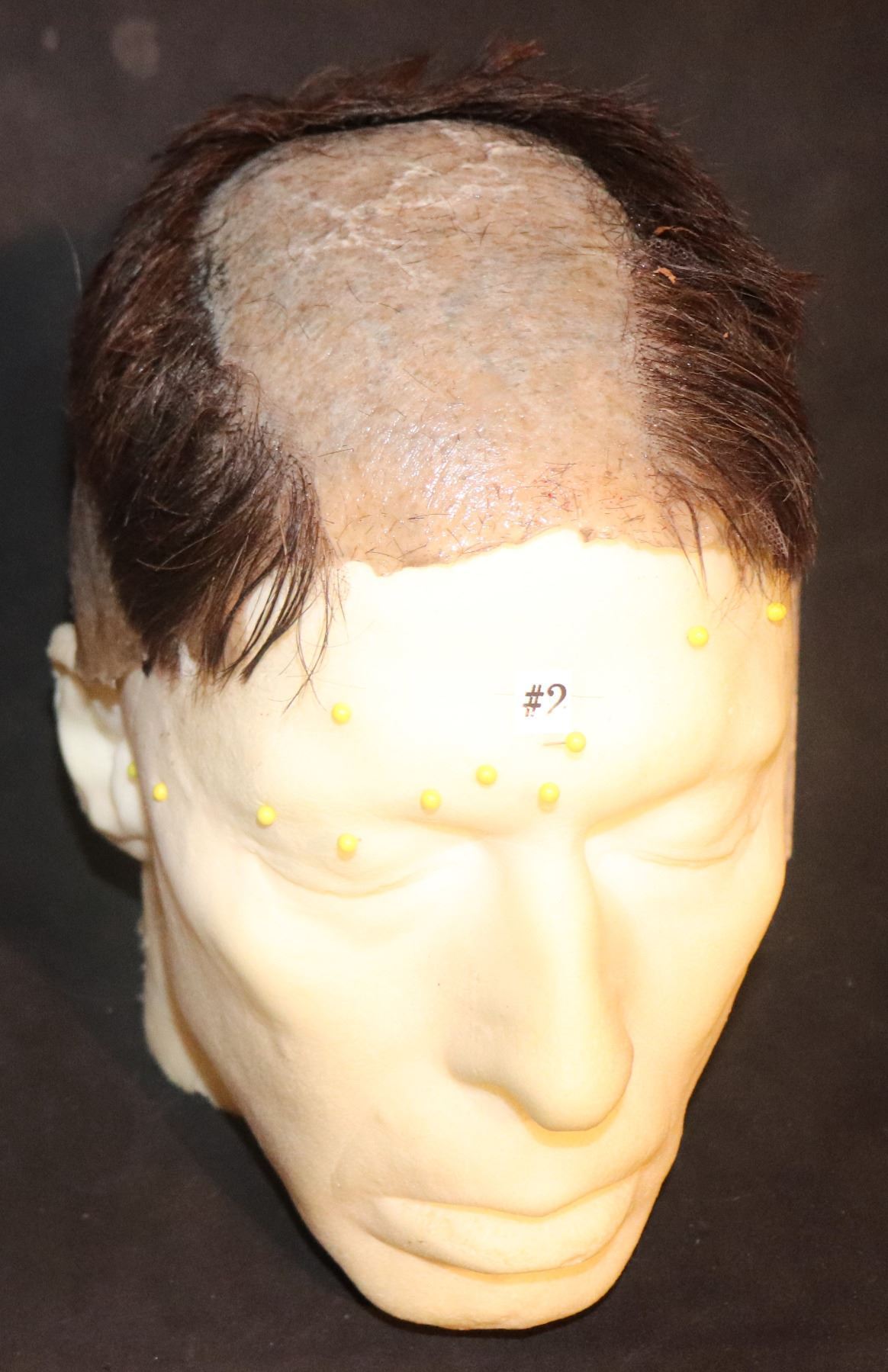 ARMY OF THE DEAD ZEUS SCALP WITH HAND PUNCHED HAIR ON LIFE CAST