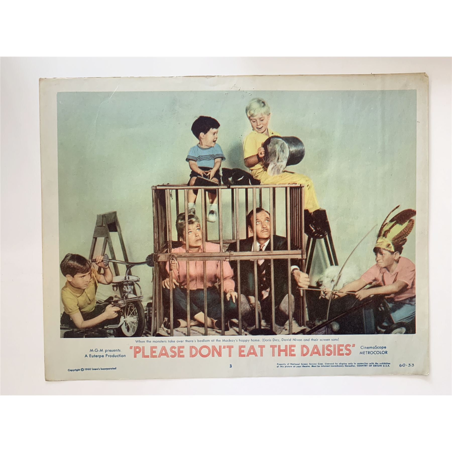 Please Don't Eat the Daisies original 1960 vintage lobby card
