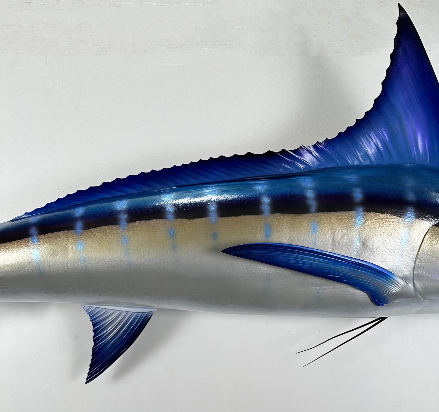 Gigantic Taxidermy Blue Marlin Mount