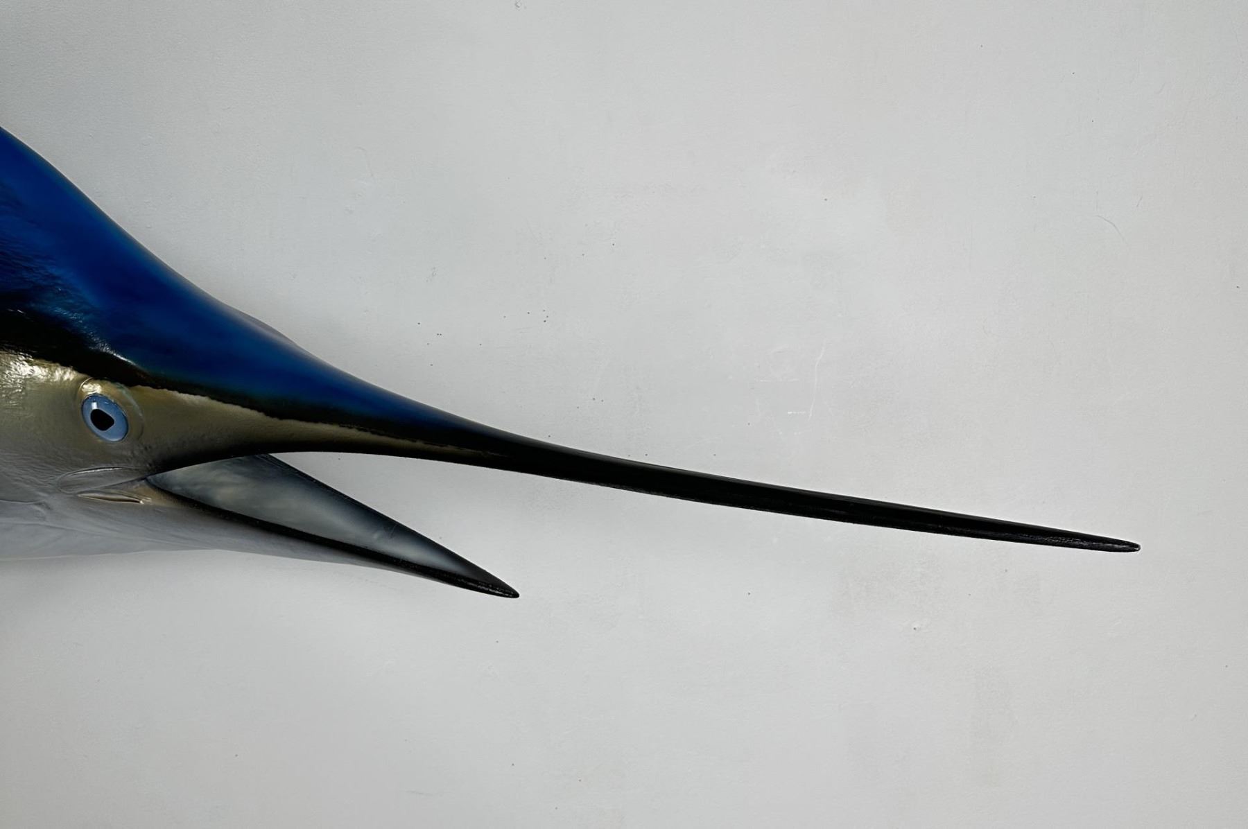 Gigantic Taxidermy Blue Marlin Mount