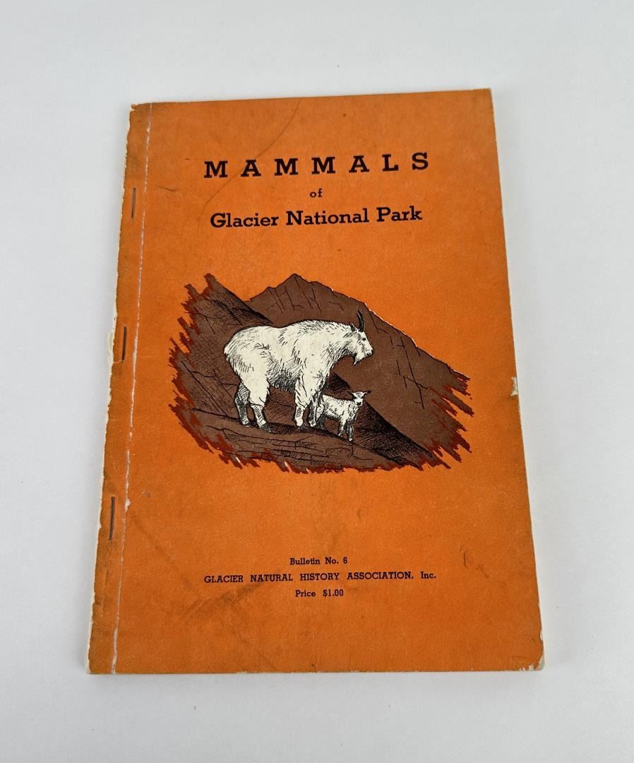 Mammals Of Glacier National Park