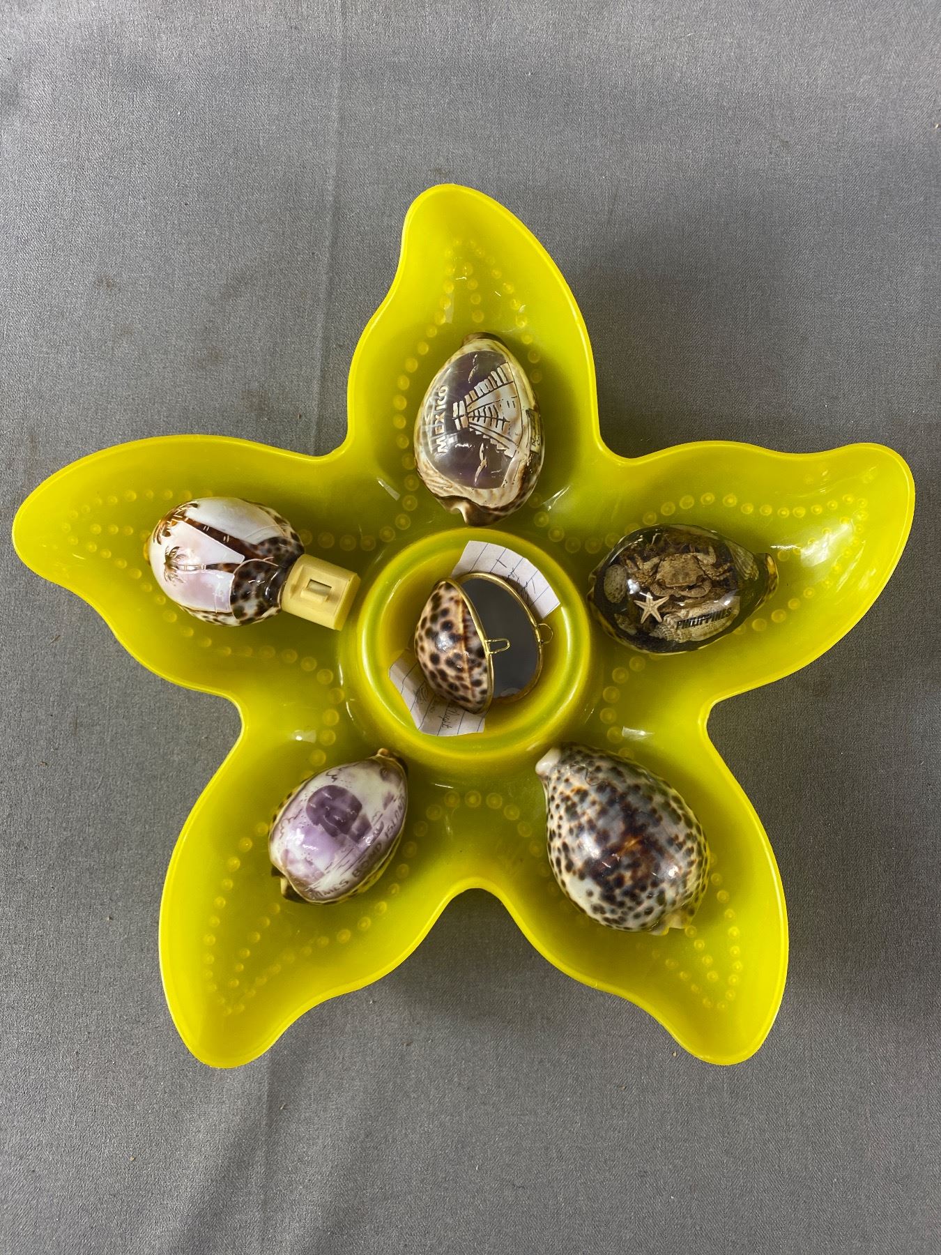 Lot Of Cowrie Shells In Starfish Shaped Container, 3 Carved, 1 ...