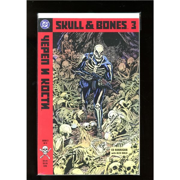 DC Skull & Bones Book #3