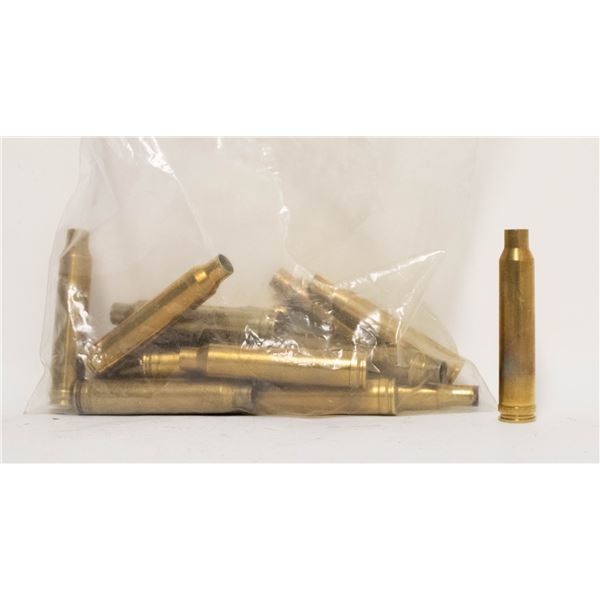 Previously Spent 300 Win Mag Brass Casings