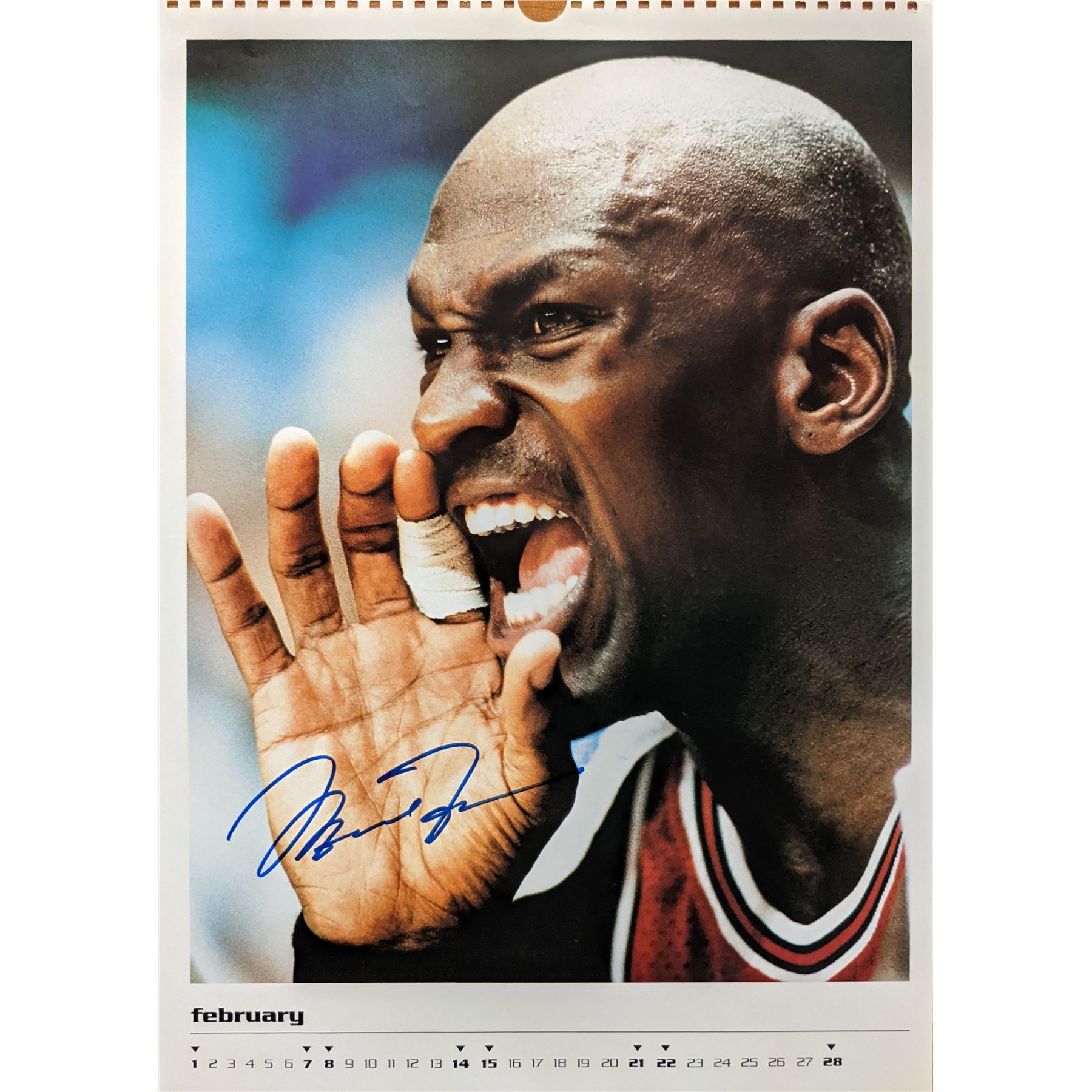 Michael Jordan Chicago Bulls 1998 autographed calendar page. GFA ...