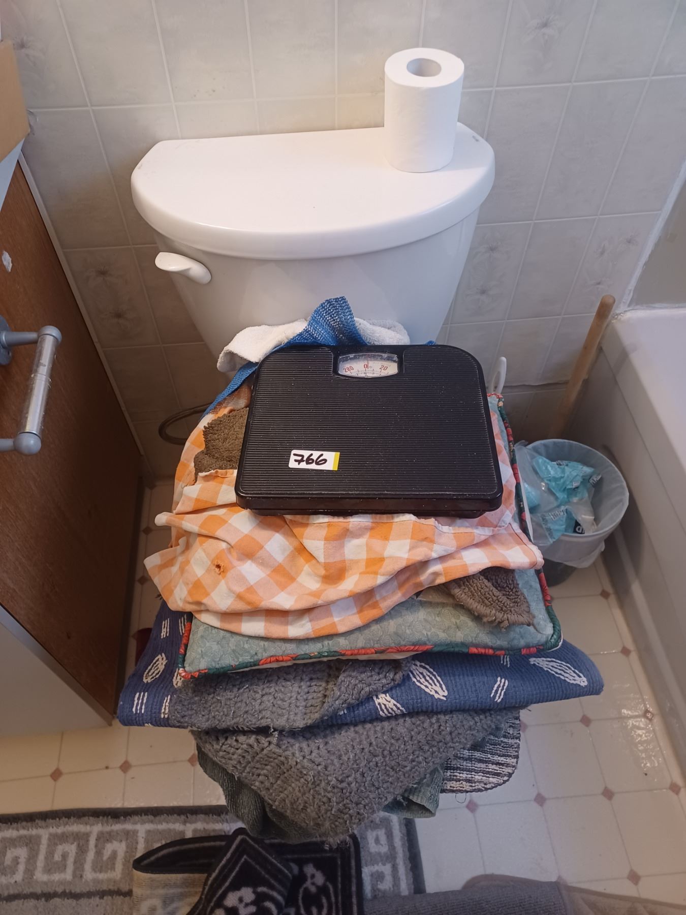 ALL REMAINING ITEMS IN BATH ROOM INCLUDING SCALE